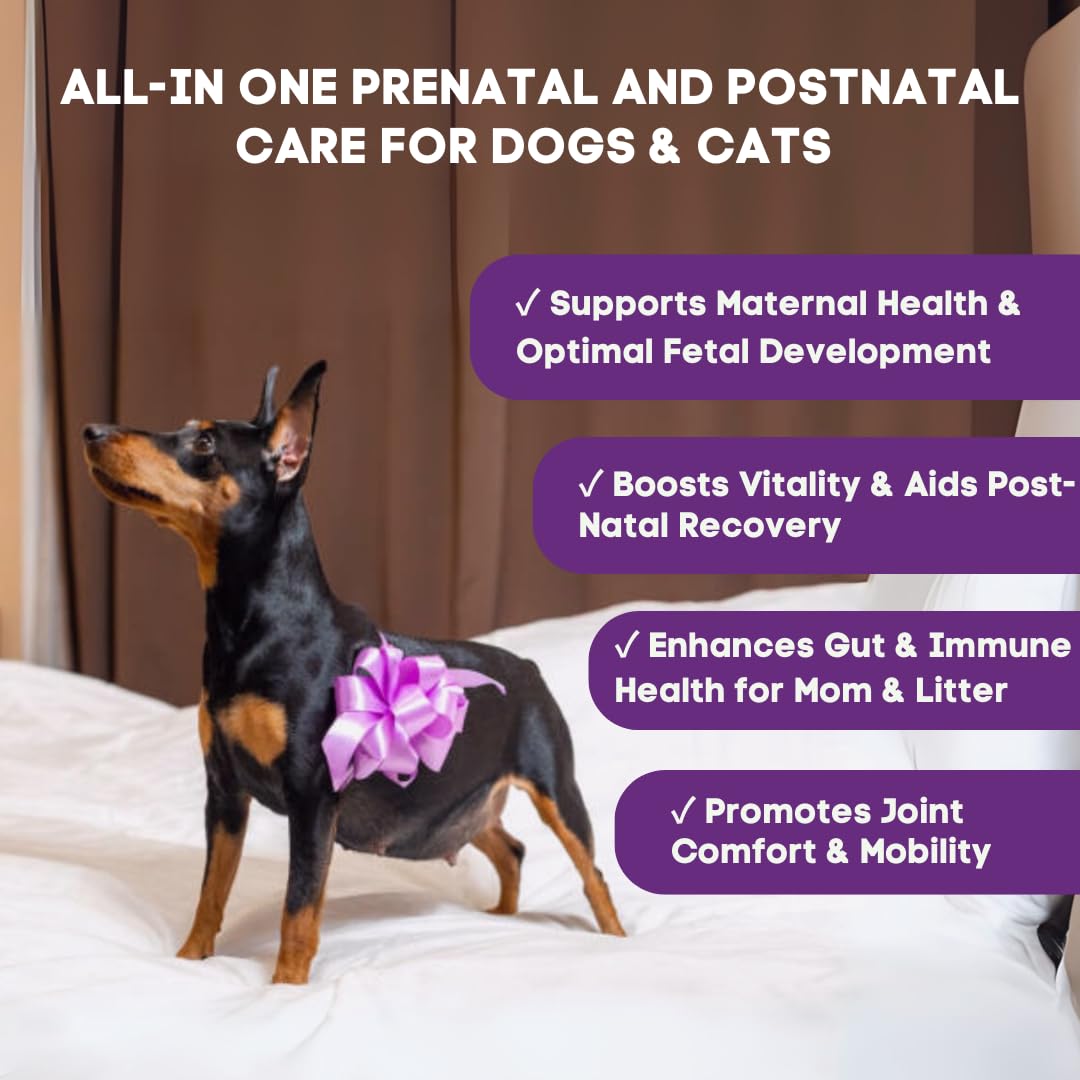soft chews for pregnant dogs