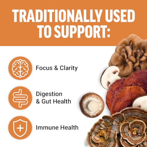 soft chews for wellness support
