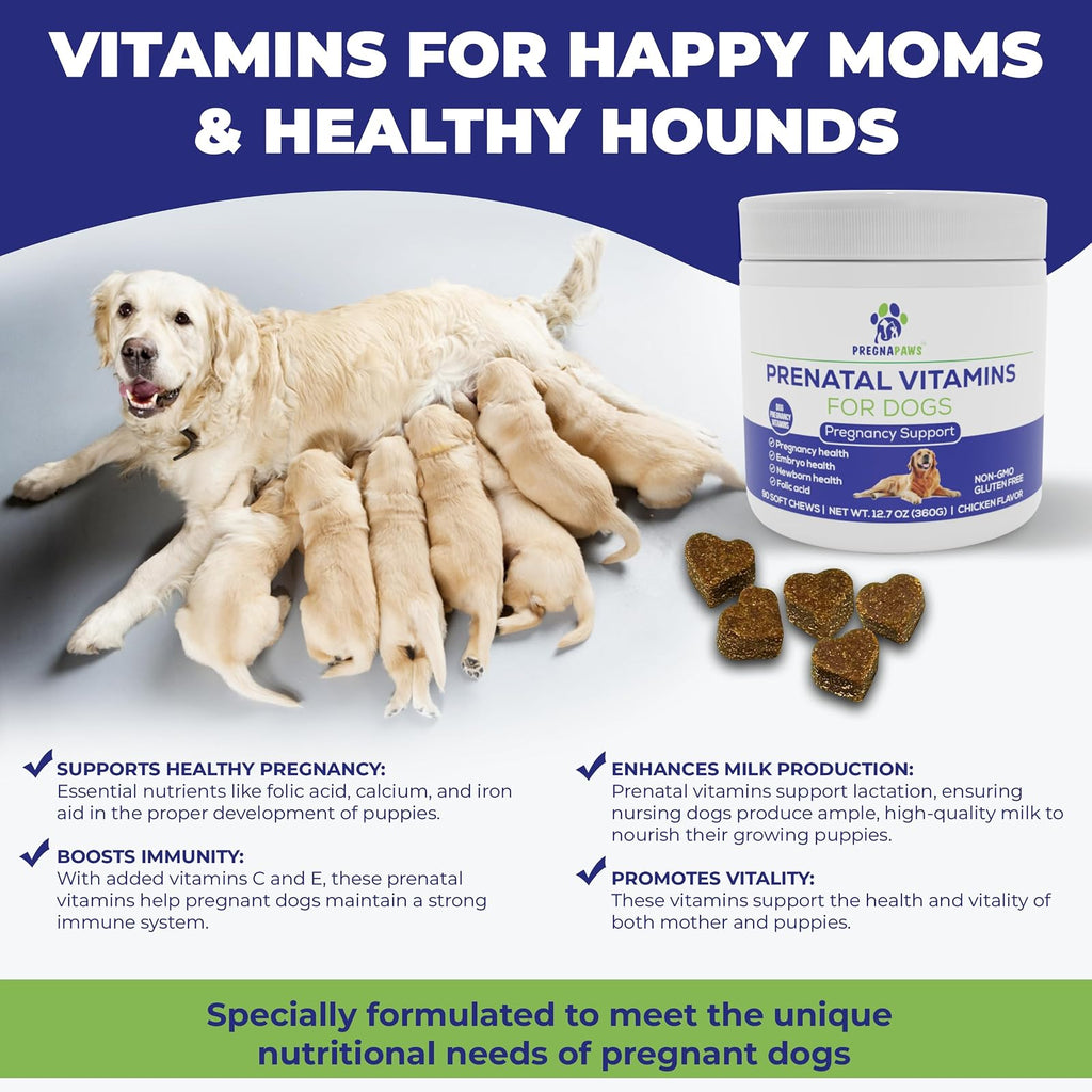 soft chews with folic acid for dogs