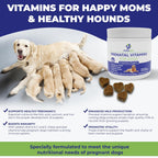 soft chews with folic acid for dogs