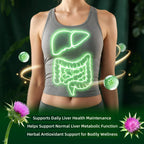 softbear Milk Thistle for digestive support