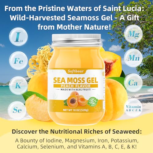 softbear organic sea moss gel