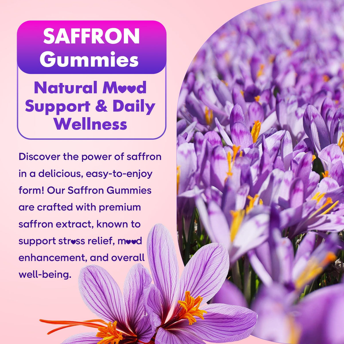softbear saffron gummies for stress relief