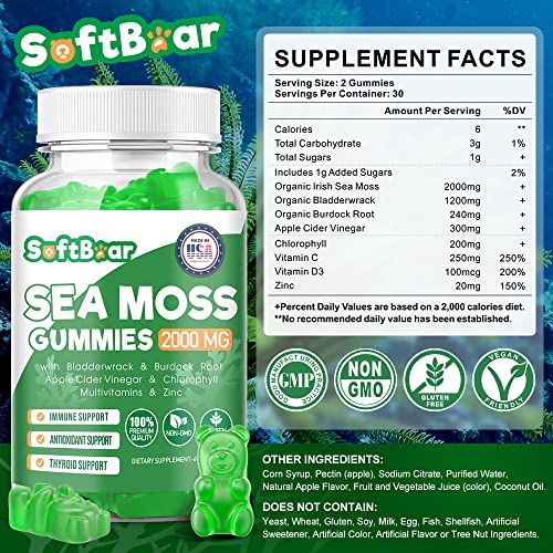 softbear sea moss for daily wellness