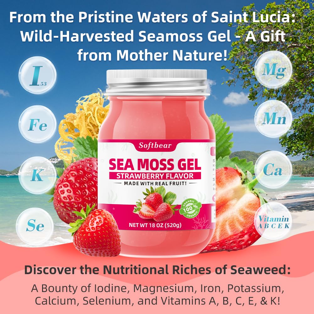 softbear sea moss for wellness