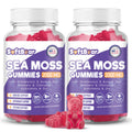 Softbear sea moss gummies for immunity