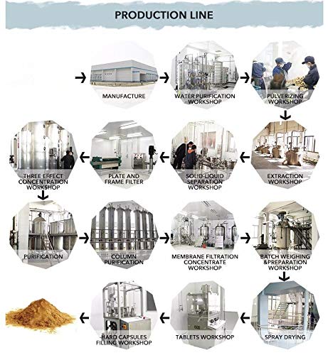 softgel mushrooms for easy consumption
