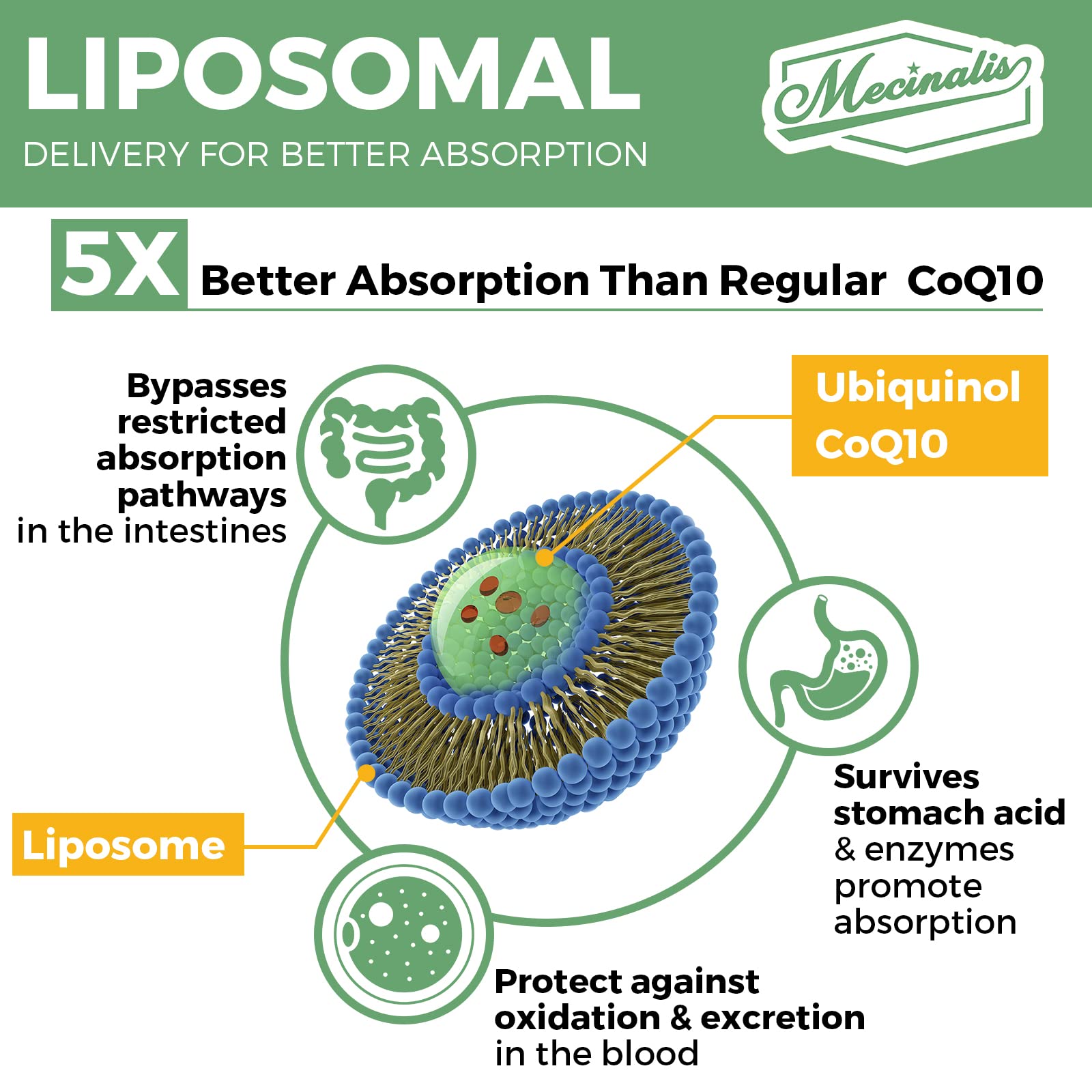 Softgels for convenient CoQ10 intake