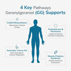 softgels for daily wellness routine