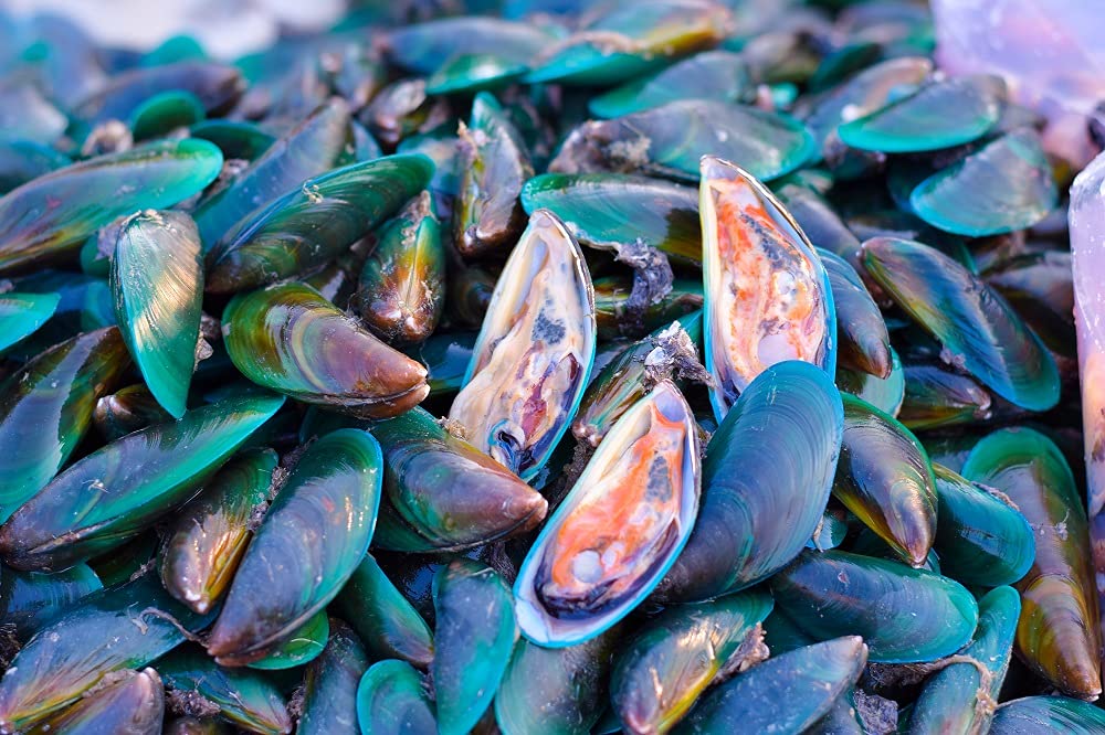 softgels for easy daily intake