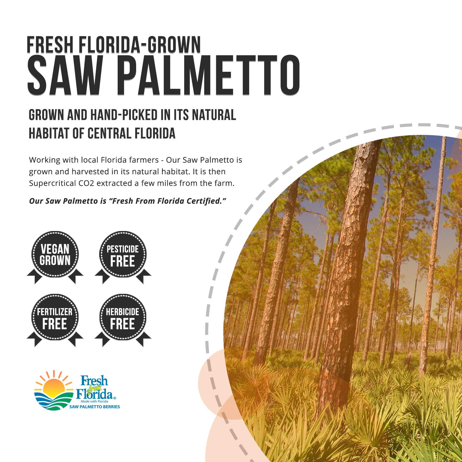 softgels for easy saw palmetto intake