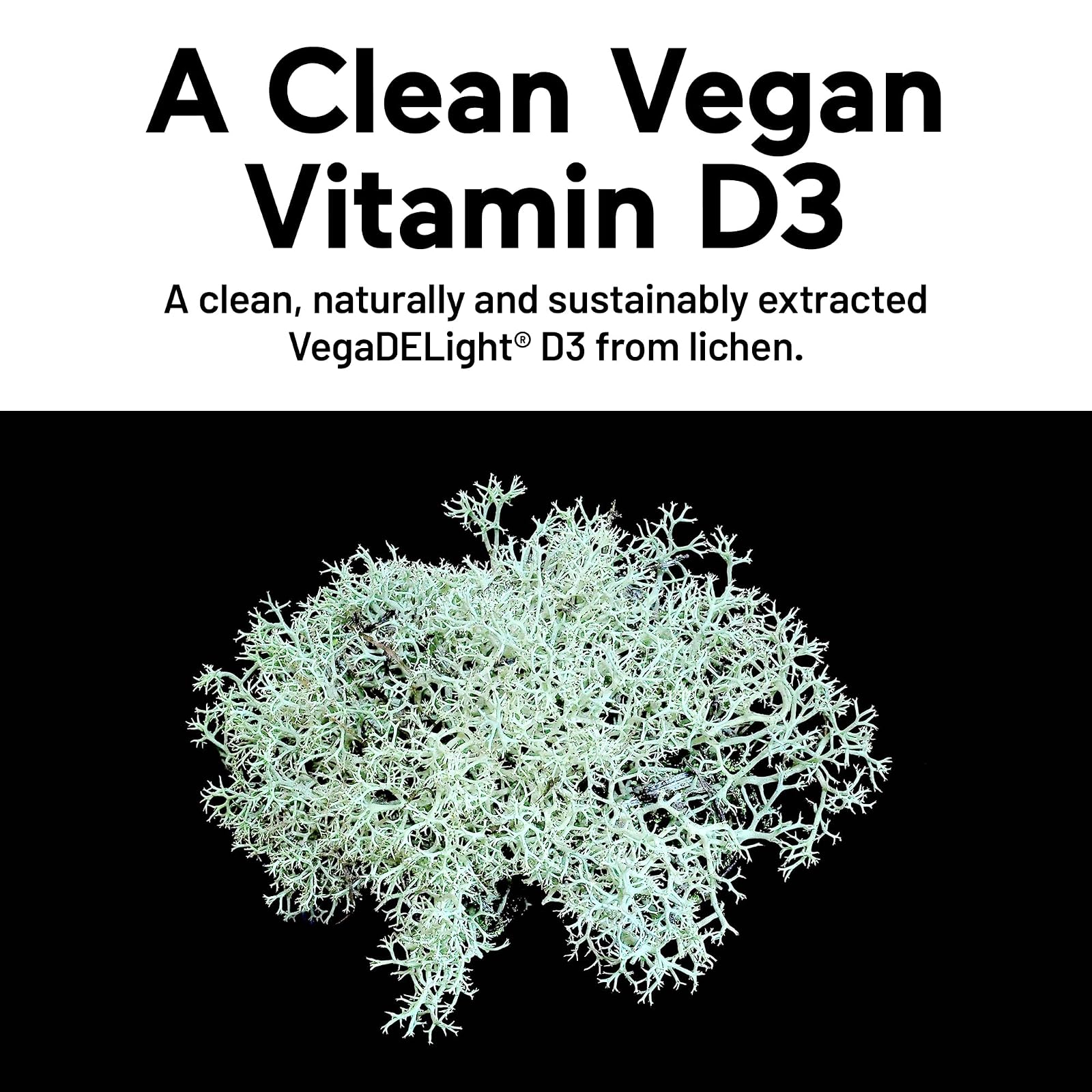 softgels for easy vitamin D absorption
