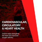 softgels for enhanced coq10 absorption