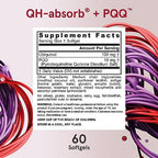 Softgels for enhanced nutrient absorption