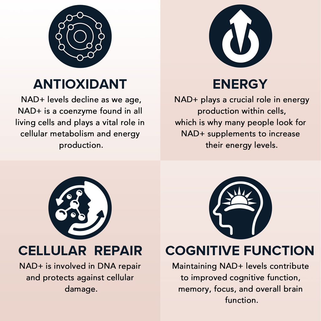 softgels for enhanced nutrient absorption