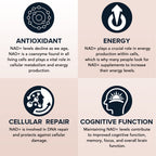 softgels for enhanced nutrient absorption