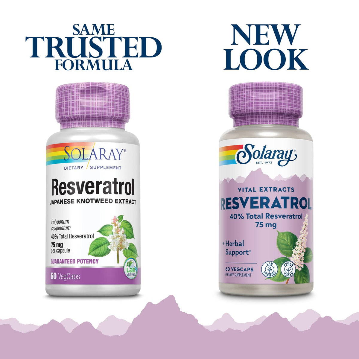 SOLARAY antioxidant support VegCaps
