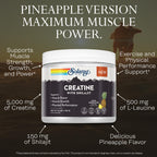SOLARAY creatine for muscle recovery