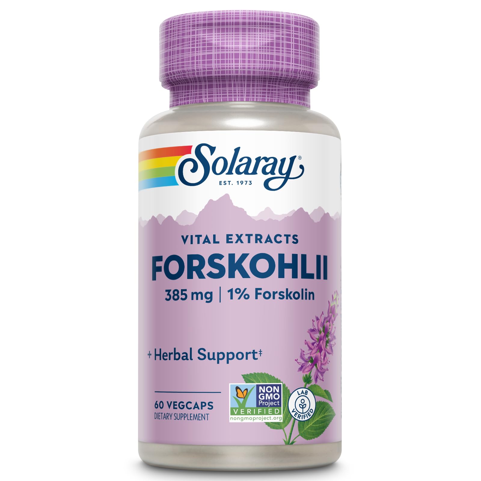 Solaray Forskohlii multivitamin for men