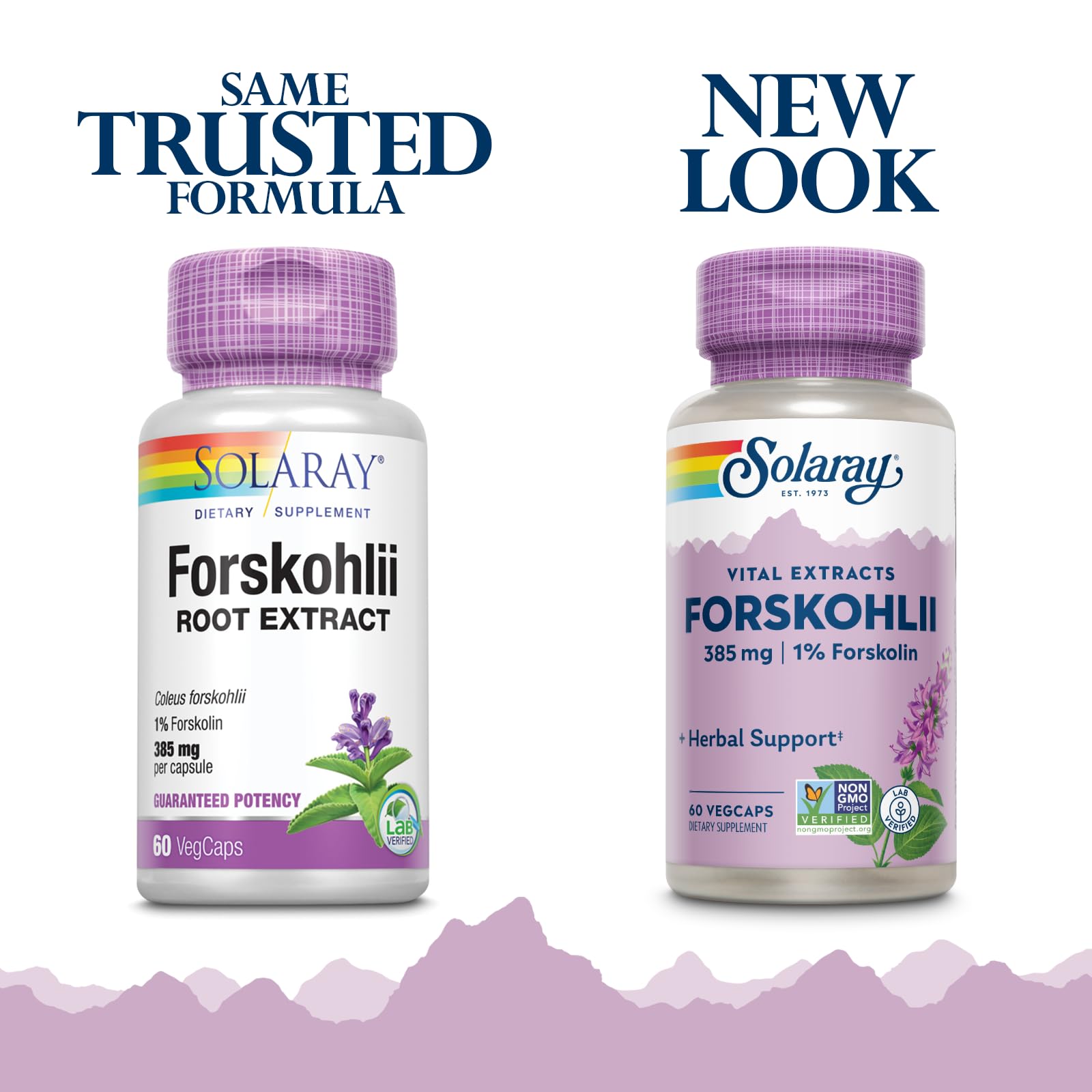 Solaray Forskohlii whole food multivitamin
