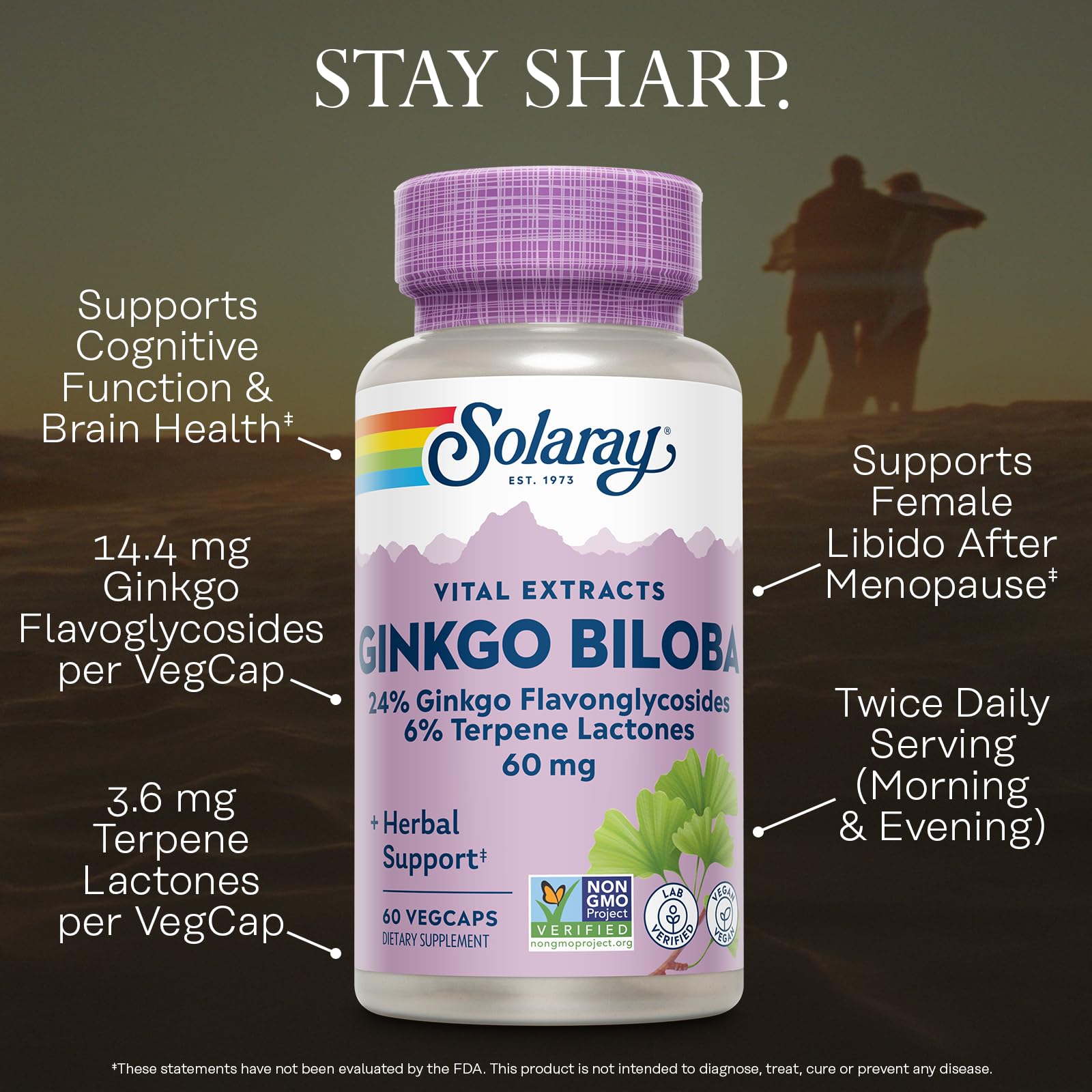 Solaray ginkgo biloba for cognitive function