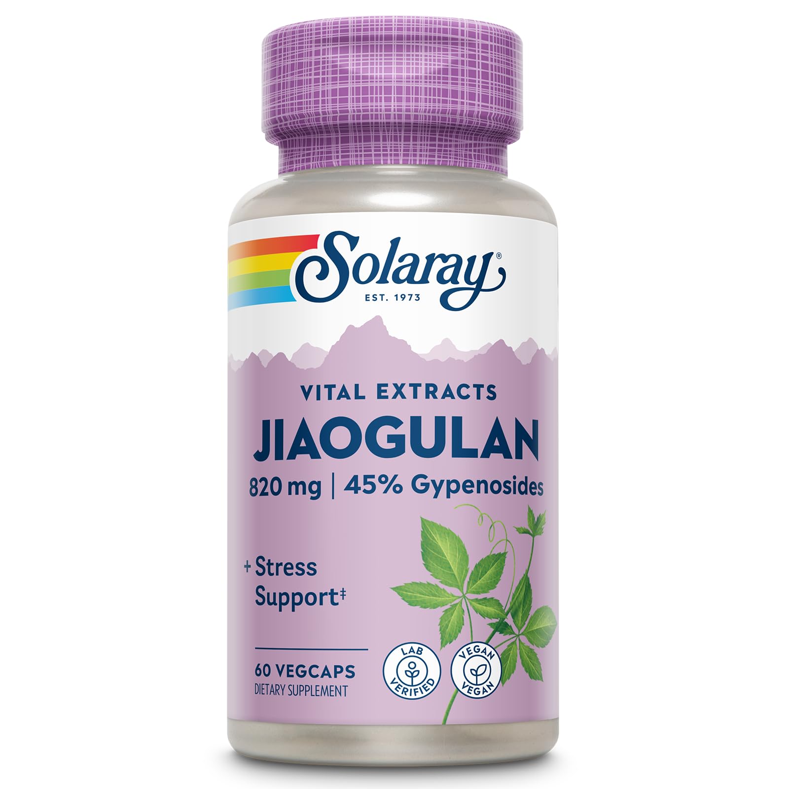Solaray Jiaogulan herbal tea benefits