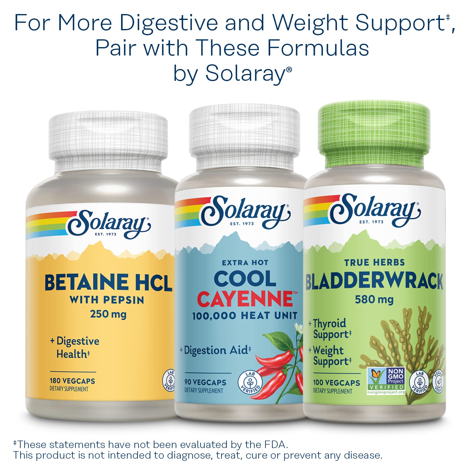 SOLARAY Lipotropic capsules for vitality