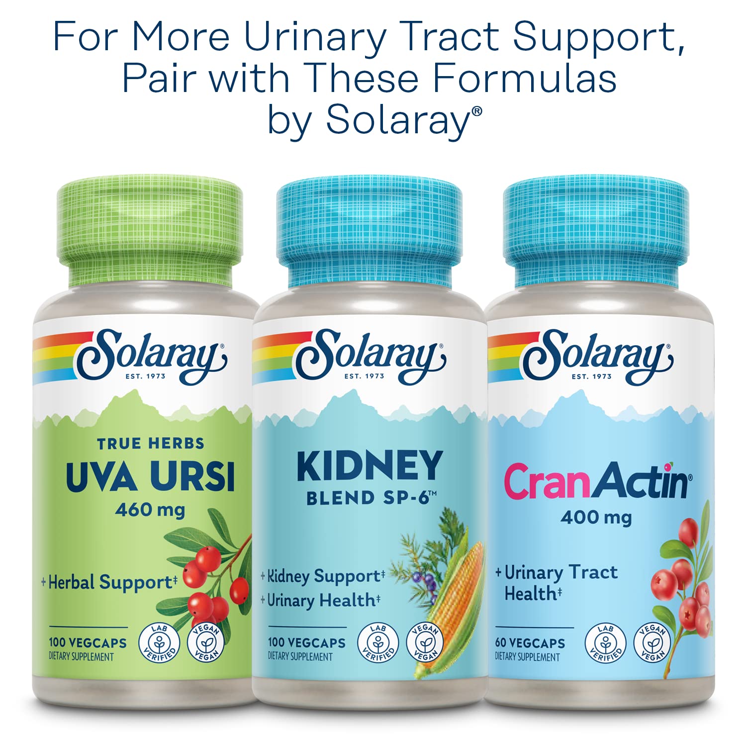 Solaray nettle leaf immune support
