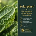 Solarplast Milk Thistle health boost