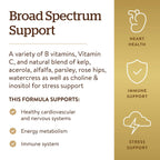 solgar b-complex immune support