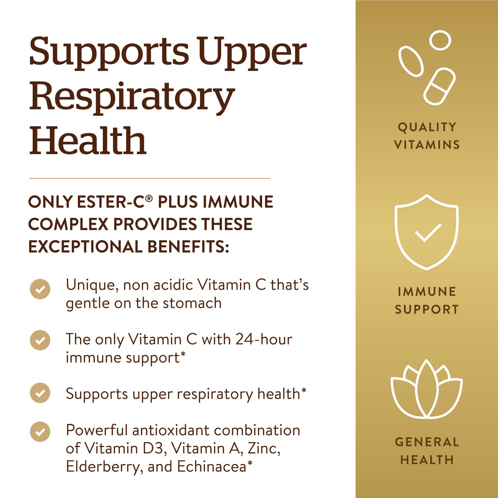Solgar elderberry for immune defense