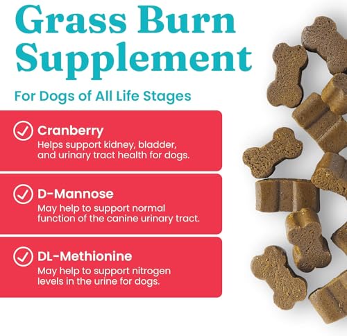 Solid Gold Grass Guardian dog wellness