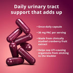 Solv Wellness cranberry extract