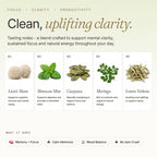 soothing afternoon mint tea blend