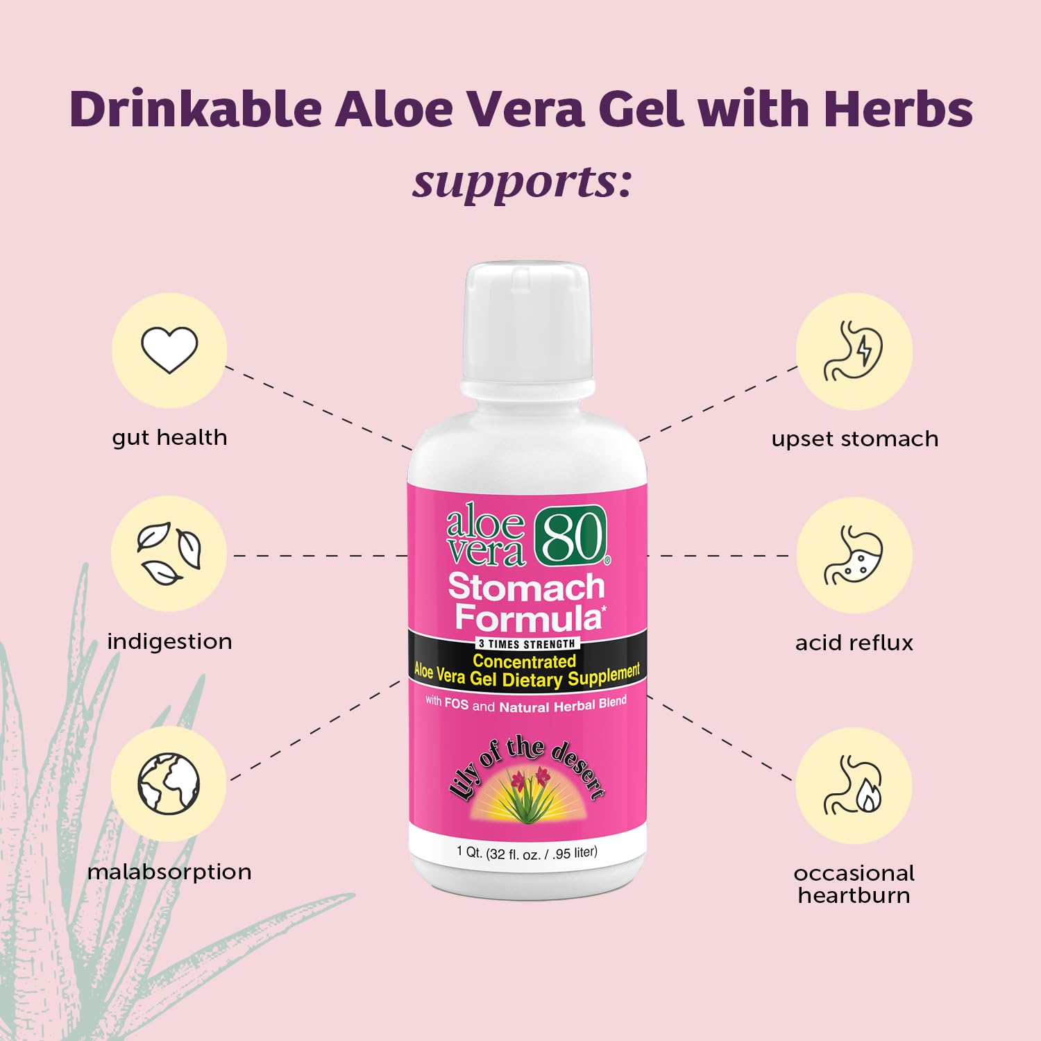 soothing aloe vera gut relief