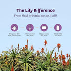 soothing aloe vera juice for wellness