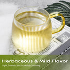 soothing anise seed herbal infusion