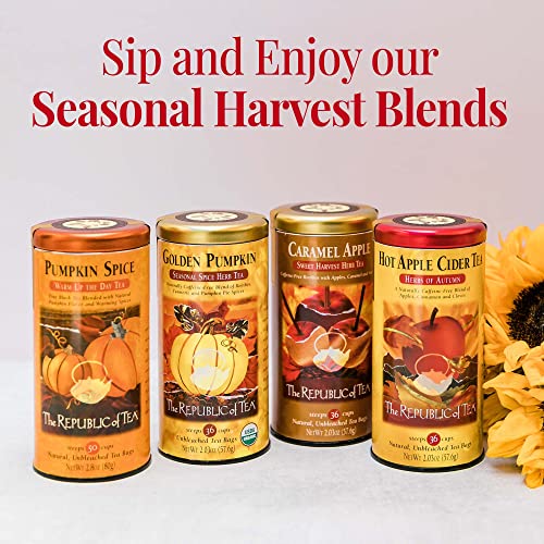 soothing apple cider tea infusion