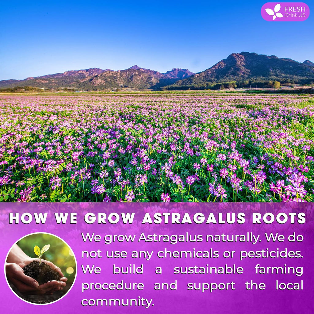 soothing astragalus root tea experience
