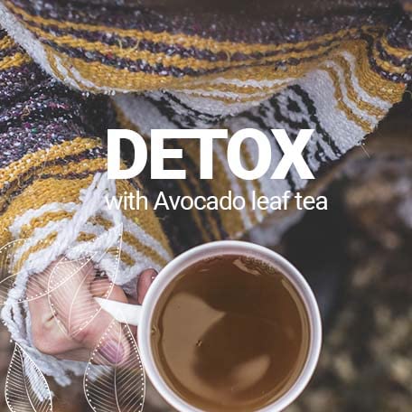 soothing avocado leaves for relaxation