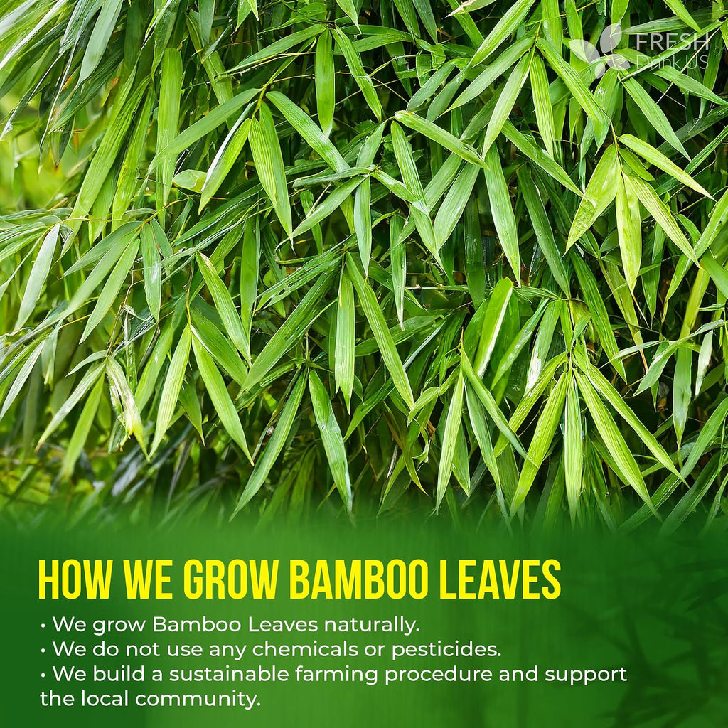 soothing bamboo leaf herbal infusion