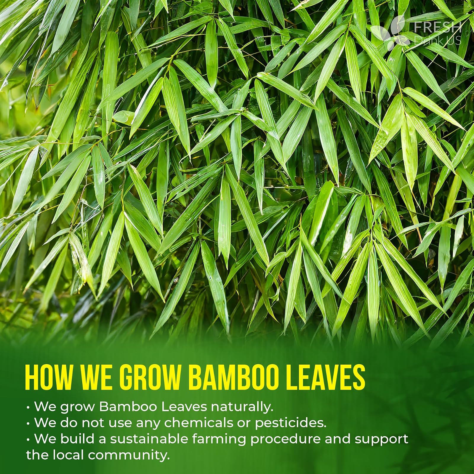 soothing bamboo leaf herbal infusion