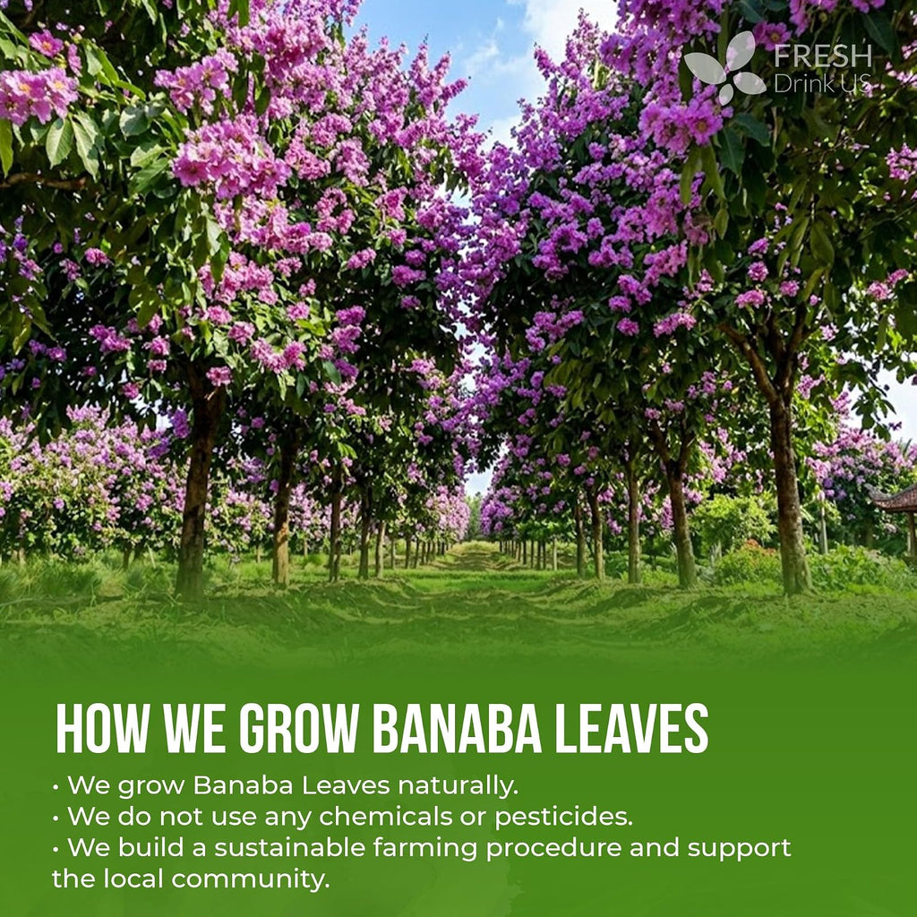 soothing banaba tea for relaxation