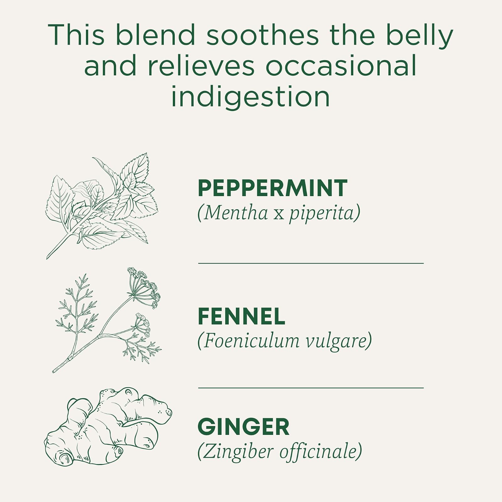 soothing belly comfort tea