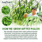 soothing bitter melon herbal infusion