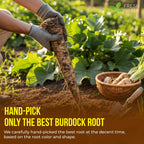 soothing burdock root herbal blend