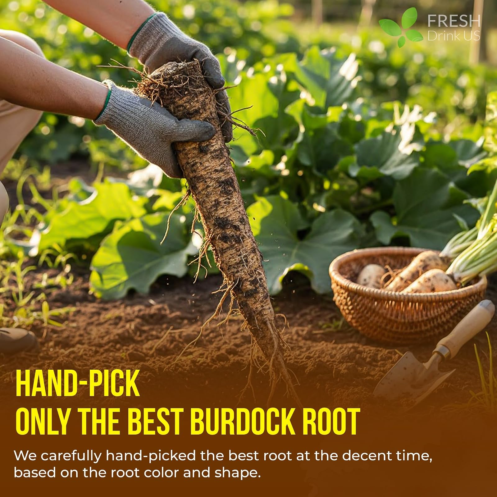 soothing burdock root herbal blend