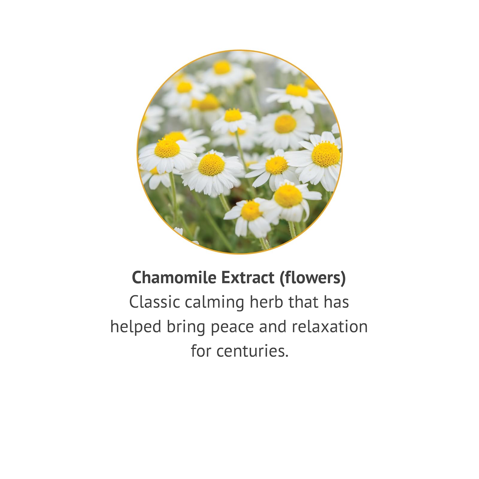 soothing chamomile extract for sleep