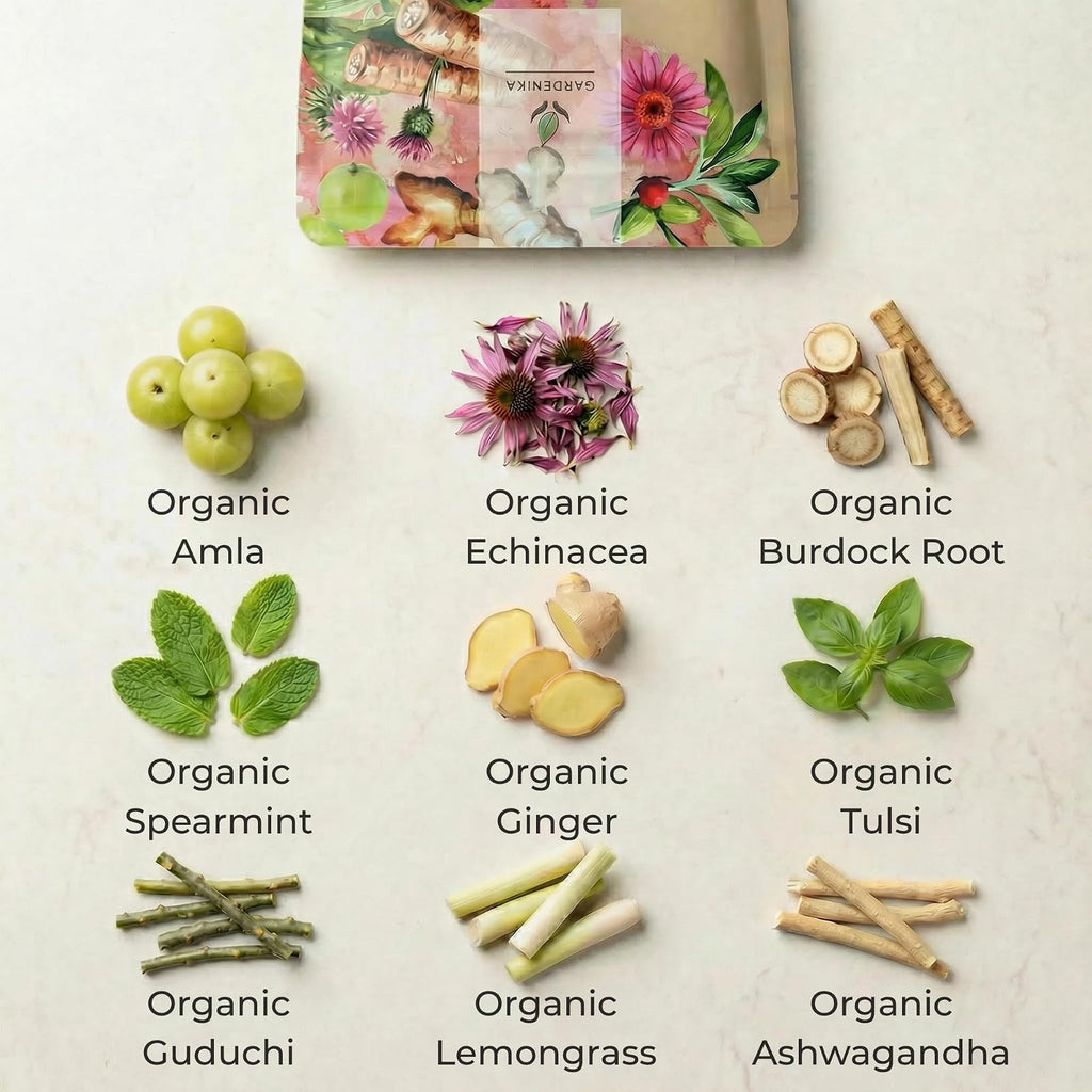 soothing chamomile herbal tea