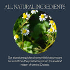 soothing chamomile medley tea blend